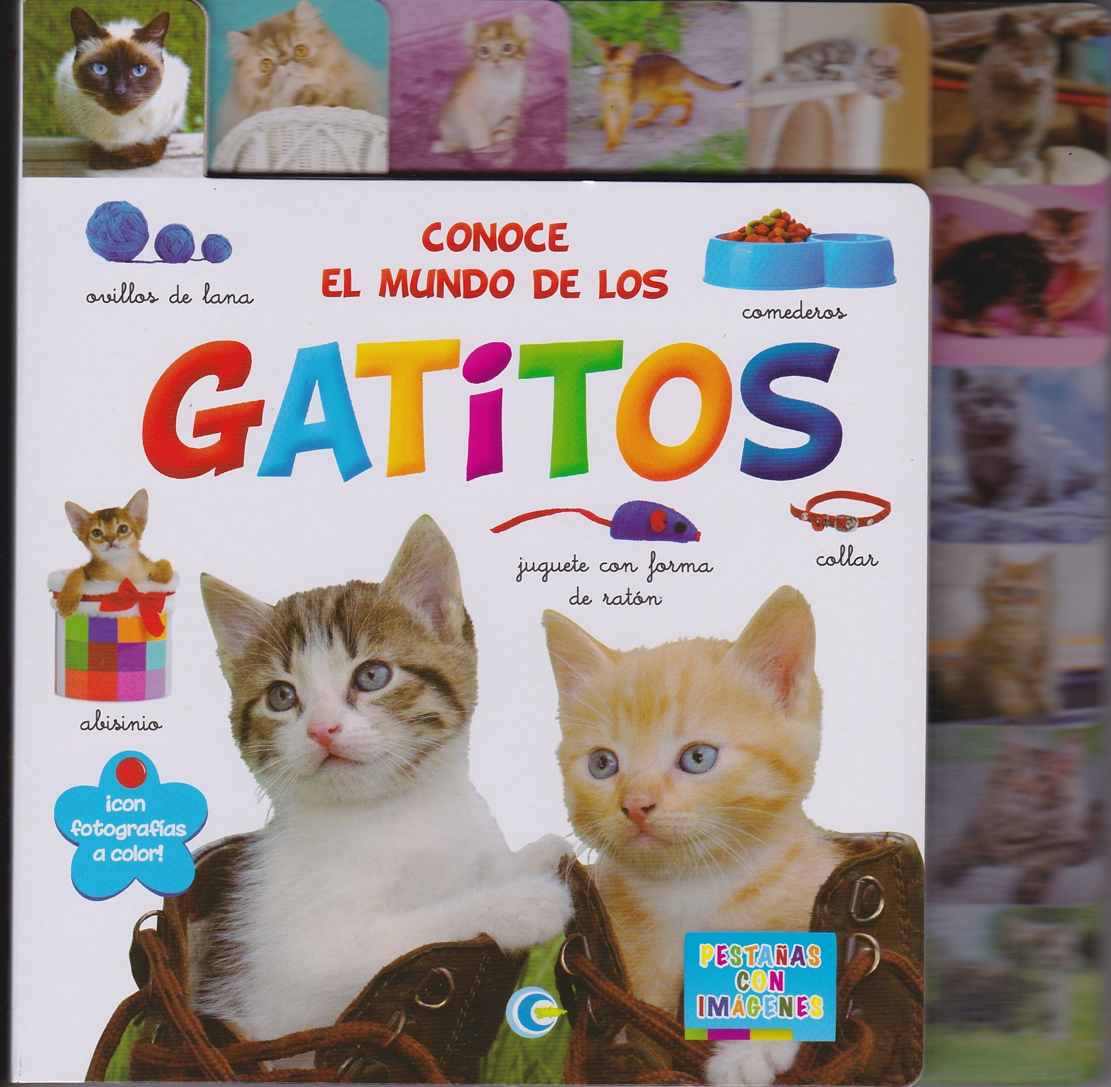 CONOCE EL MUNDO - Comics y Cuentos Asturias s.l.